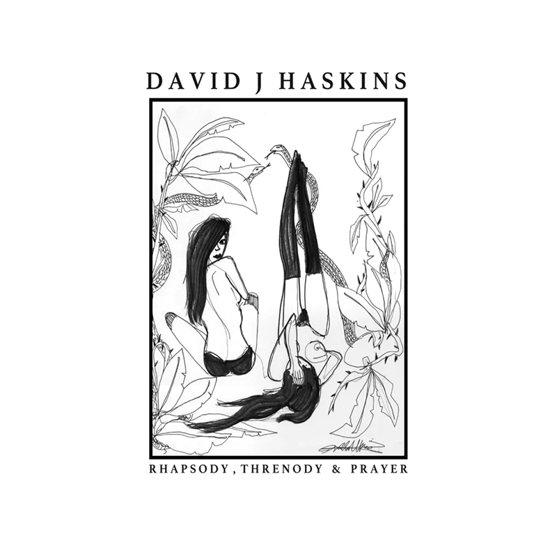 SPILL BOOK REVIEW: DAVID J HASKINS - RHAPSODY, THRENODY & PRAYER - The ...
