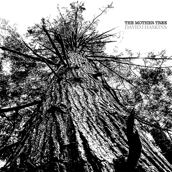SPILL ALBUM REVIEW: DAVID J HASKINS - THE MOTHER TREE - The Spill Magazine